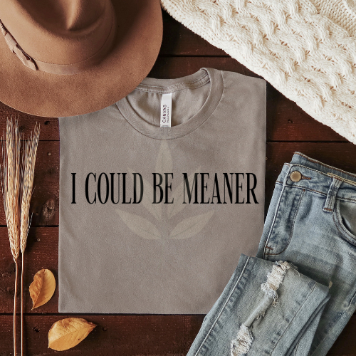 I Could Be Meaner – Country Print Co
